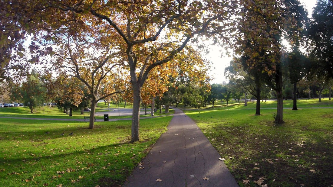 Guided Walk through Rundle Park / Kadlitpina (Park 13), Tour Serv...