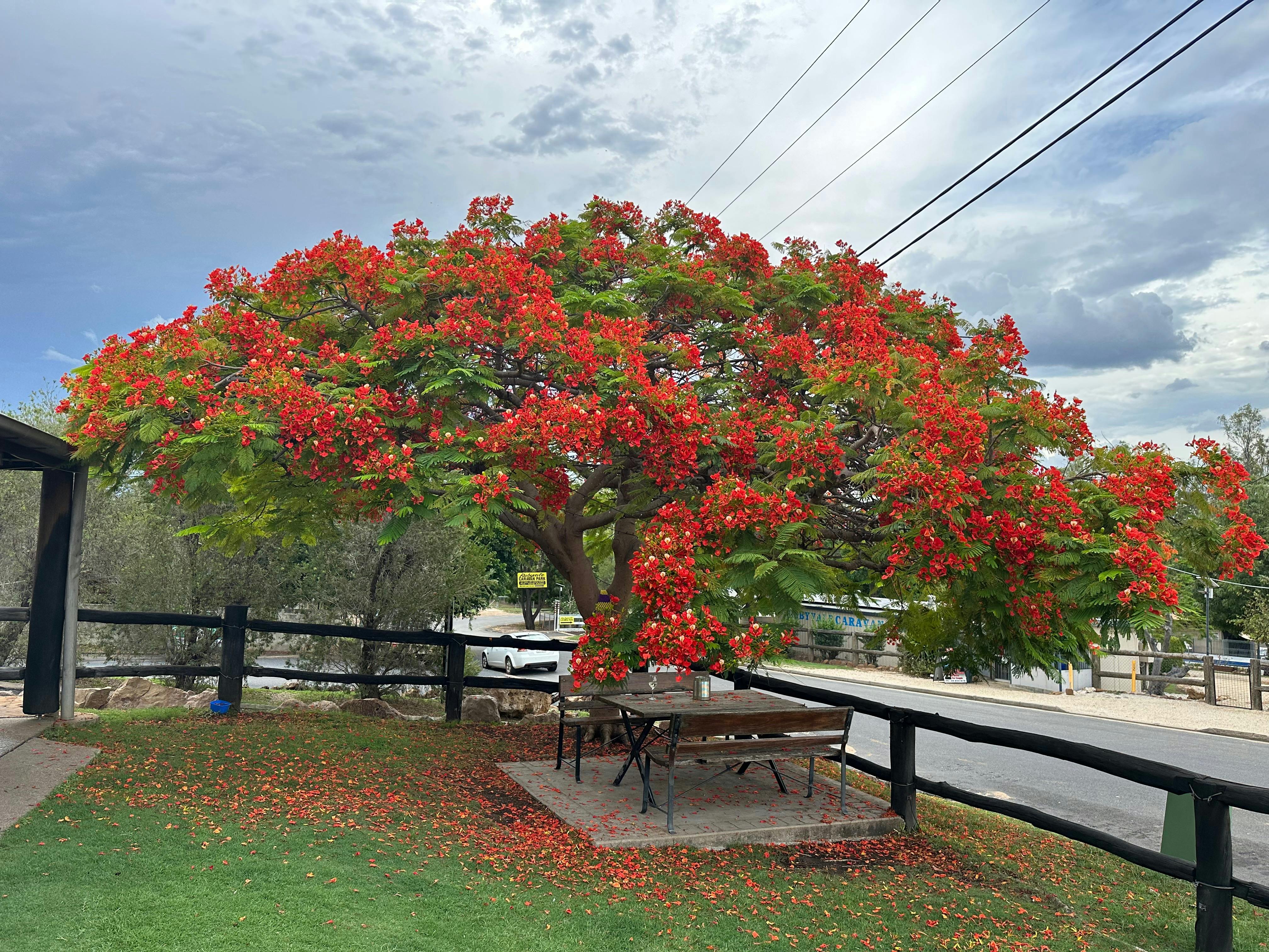 The New Royal Hotel Rubyvale | Accommodation | Queensland