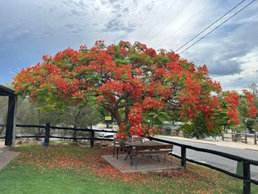 Moonie | Destination-information | Queensland