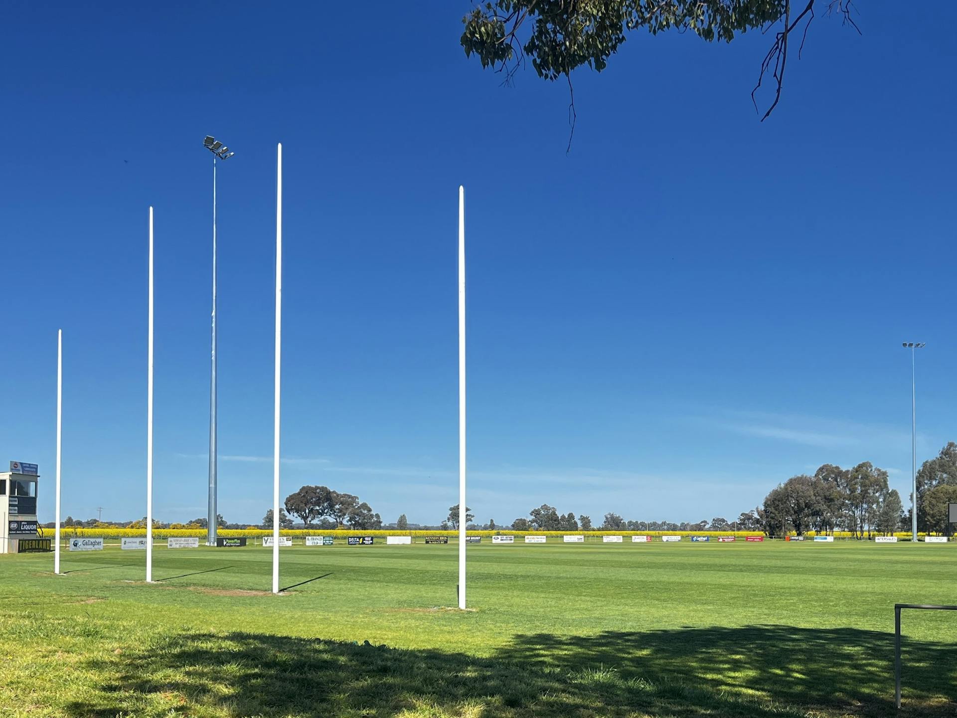 Osborne Tigers 125th Year Celebration in Osborne - The Fold: Your Guide ...