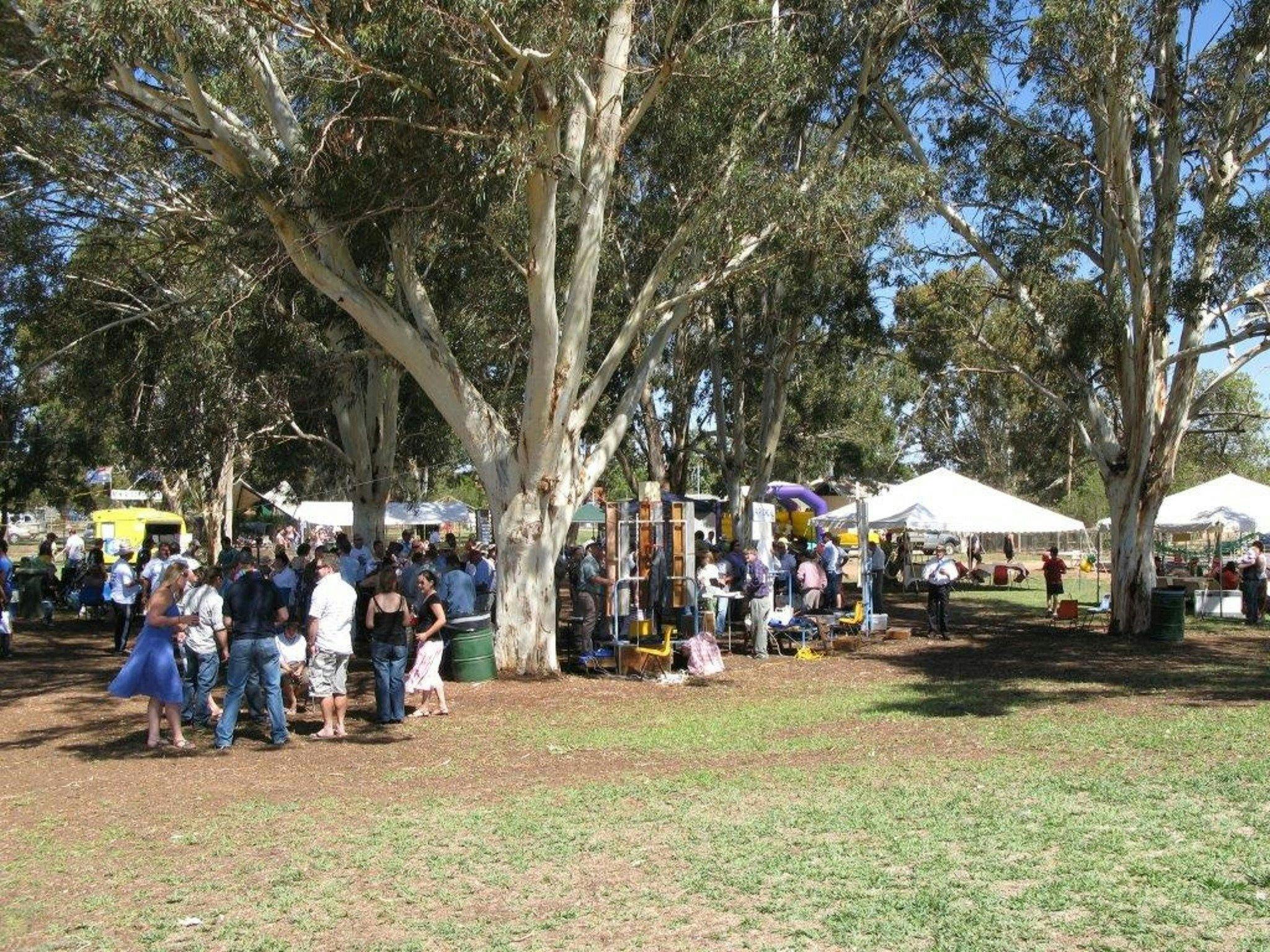 Balranald Races | NSW Holidays & Accommodation, Things to Do ...