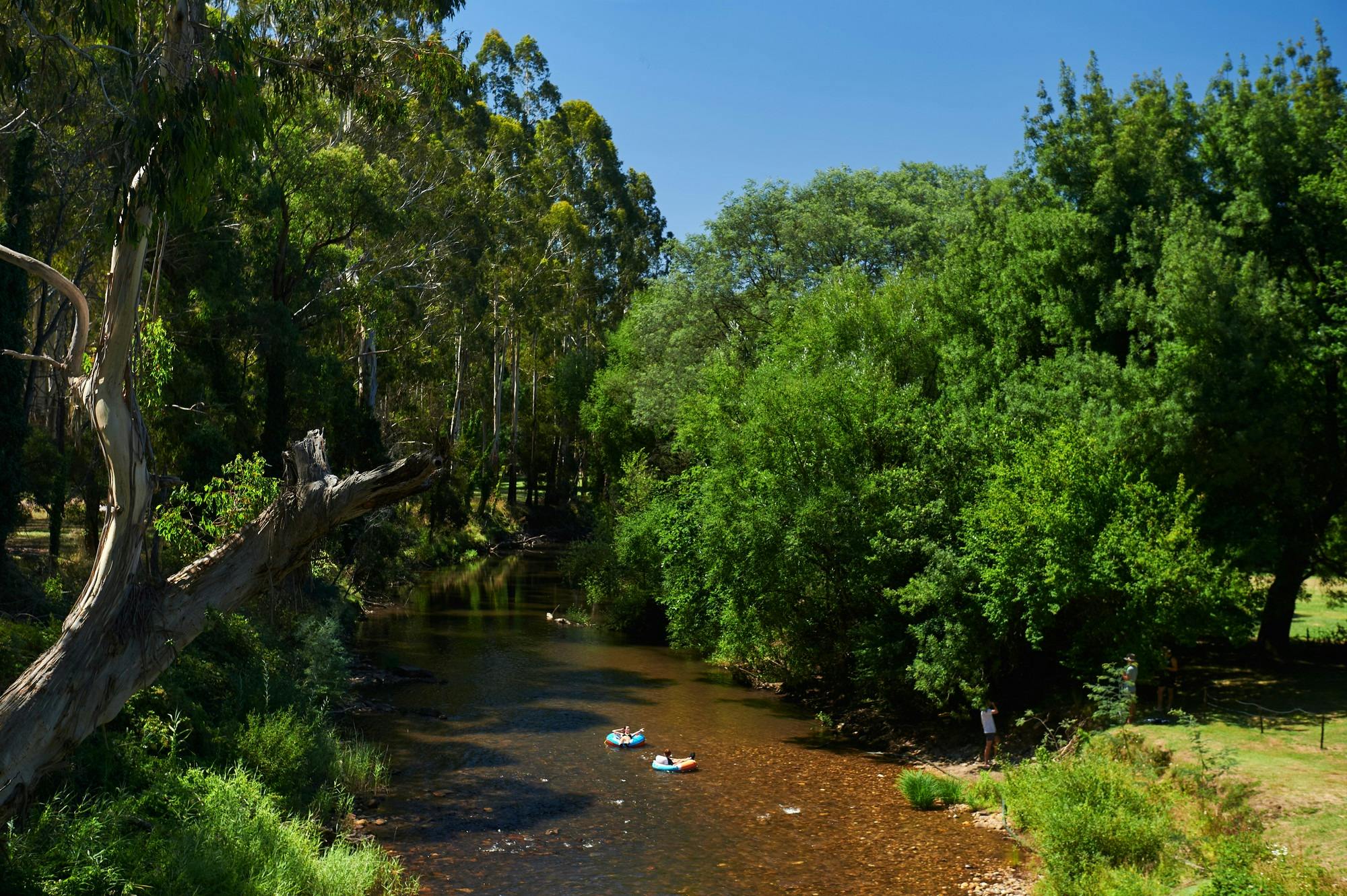 Mansfield - Victoria's High Country