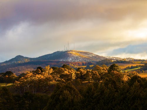 Lake Canobolas Reserve | NSW Holidays & Accommodation, Things to Do, Attractions and Events