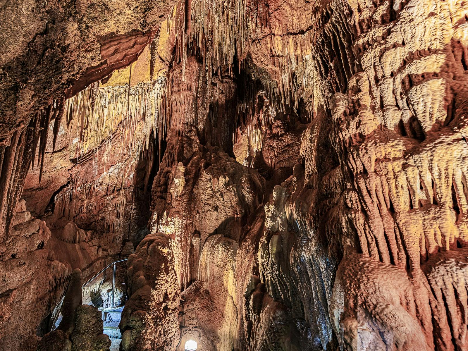 Mole Creek Caves | Tour | Discover Tasmania
