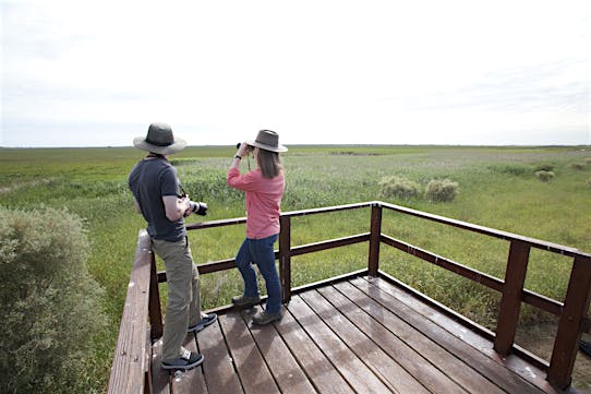Bool Lagoon Campground - Bool Lagoon Game Reserve - Bool Lagoon,