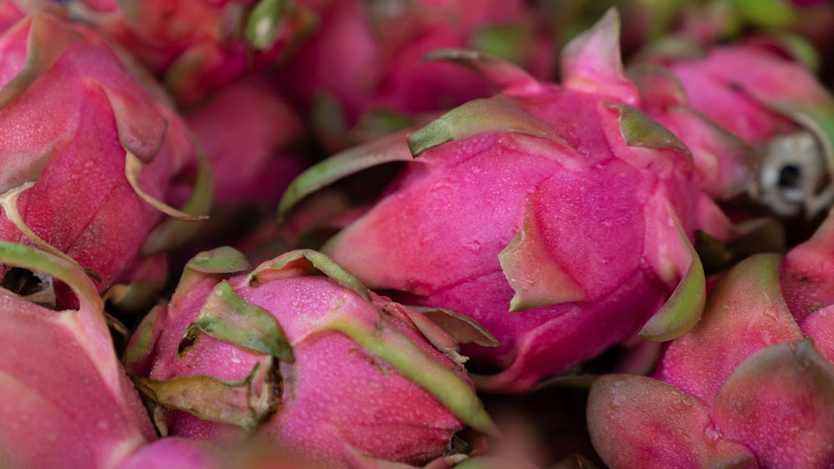 Yeppoon Community Market | Events | Queensland