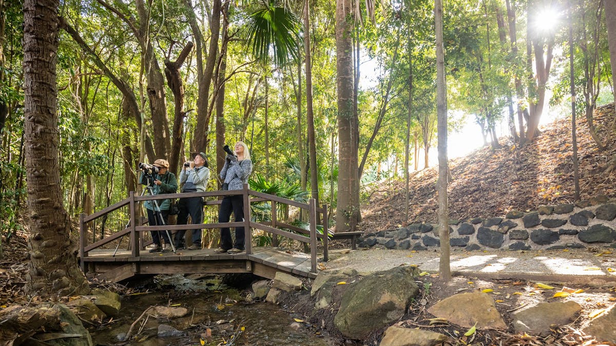 Kholo Gardens | Attractions | Queensland