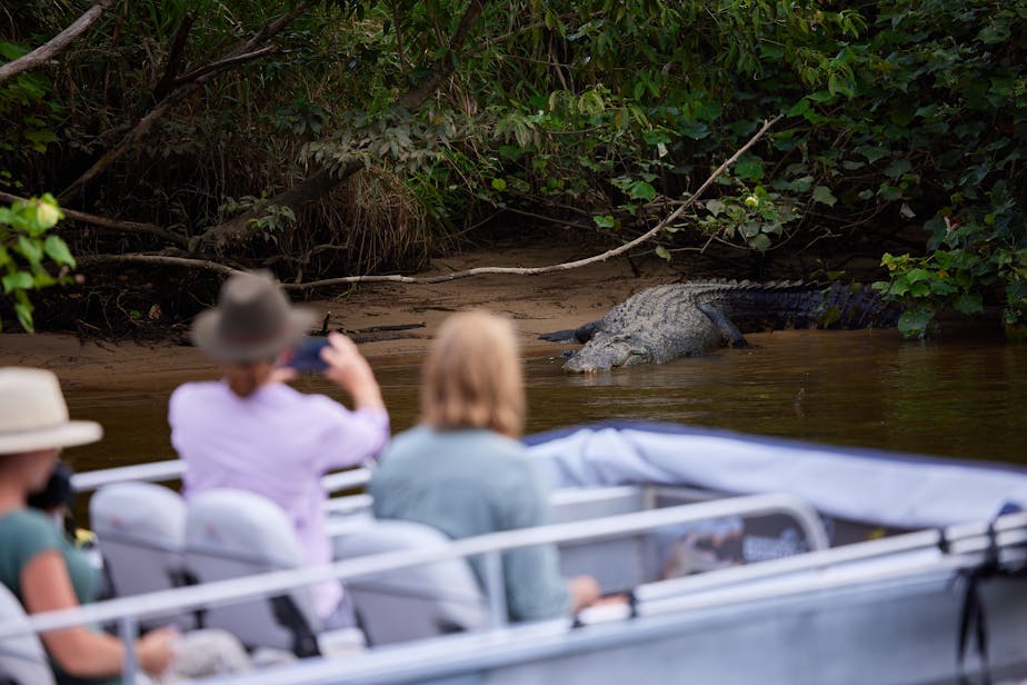 Daintree Boatman Wildlife Cruises | Cairns & Great Barrier Reef