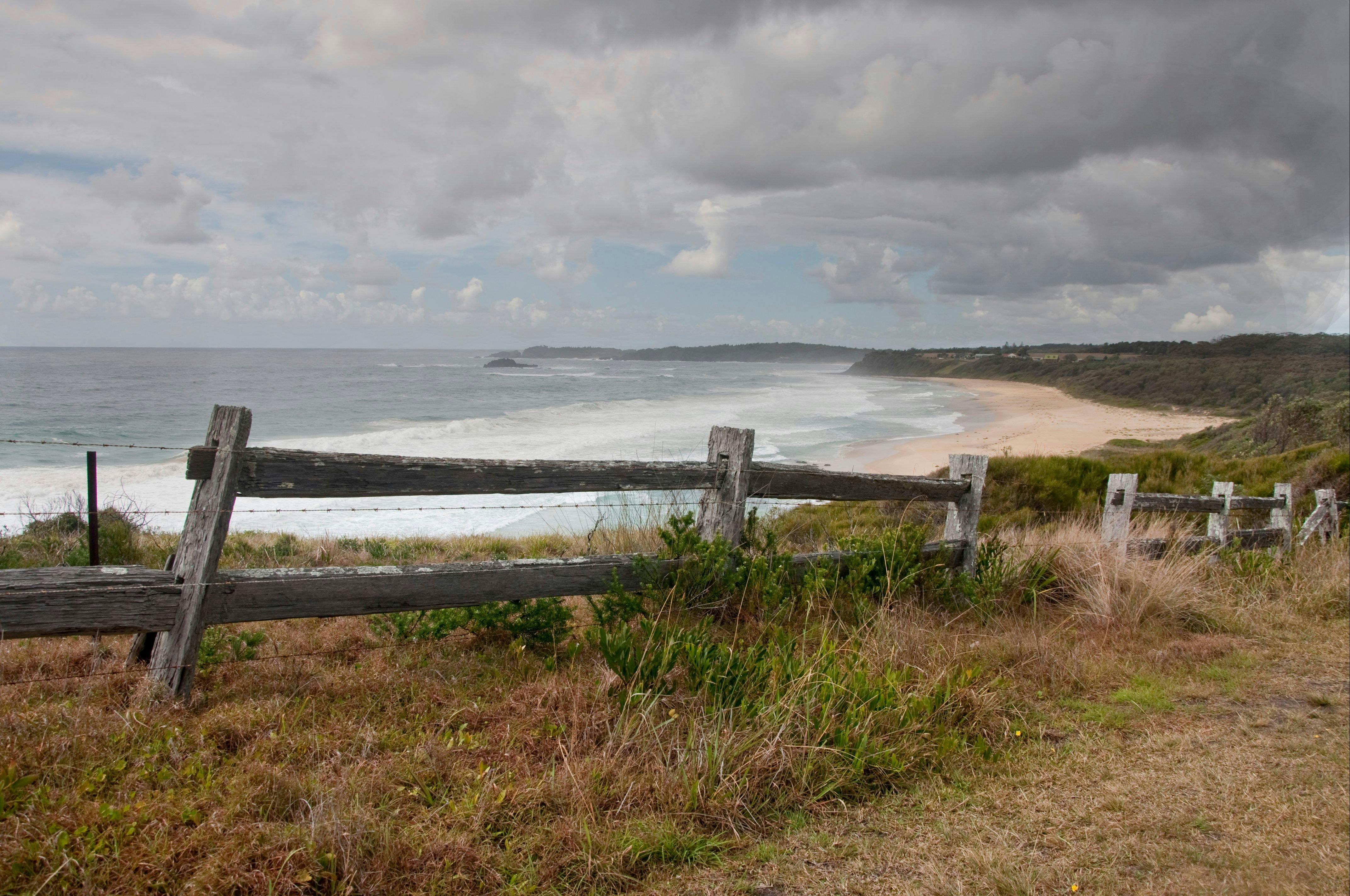Congo | NSW Holidays & Accommodation, Things to Do, Attractions and Events