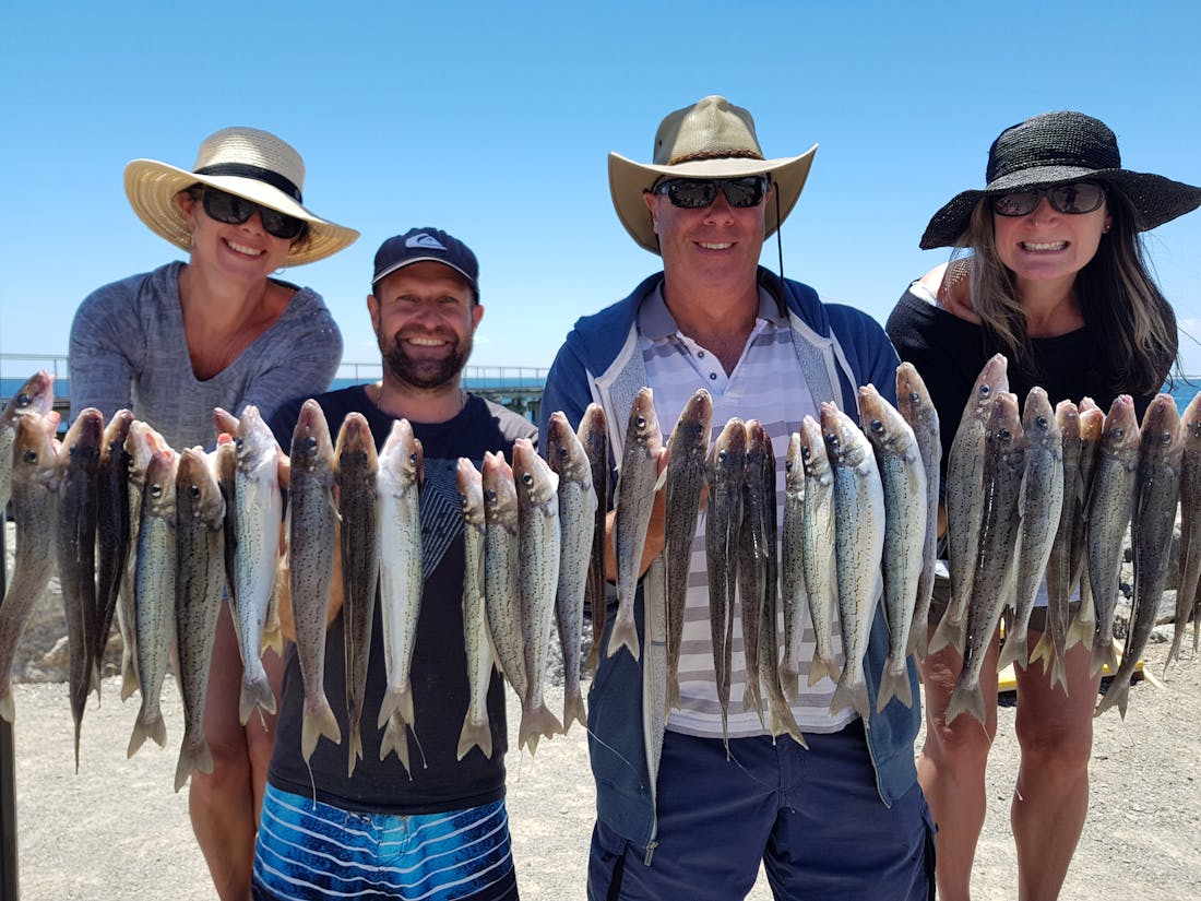 Reel Screamer Fishing Charters - Point Turton, Tour