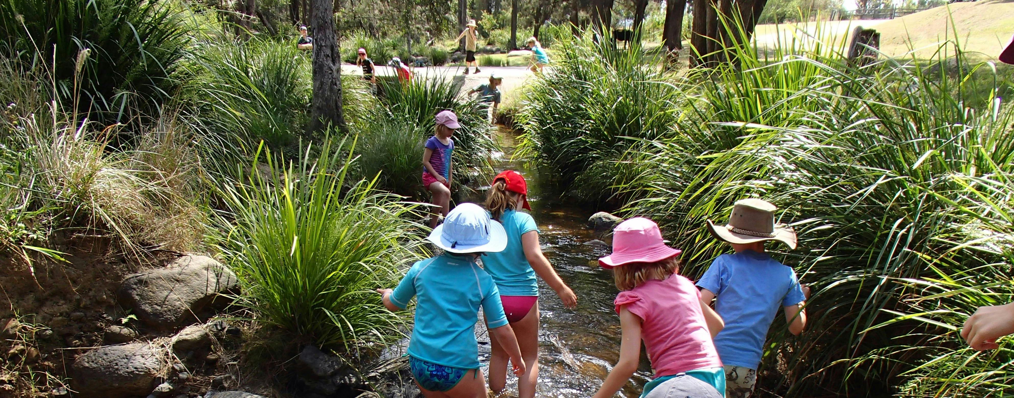 Mt Barney Lodge Country Retreat