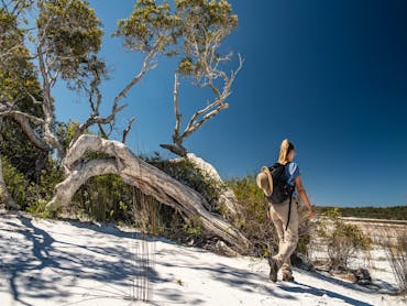 Inskip Peninsula Recreation Area Camping | Accommodation | Queensland