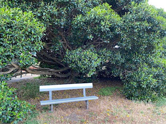 Dev Patterson Flora Reserve - Edithburgh, Attraction