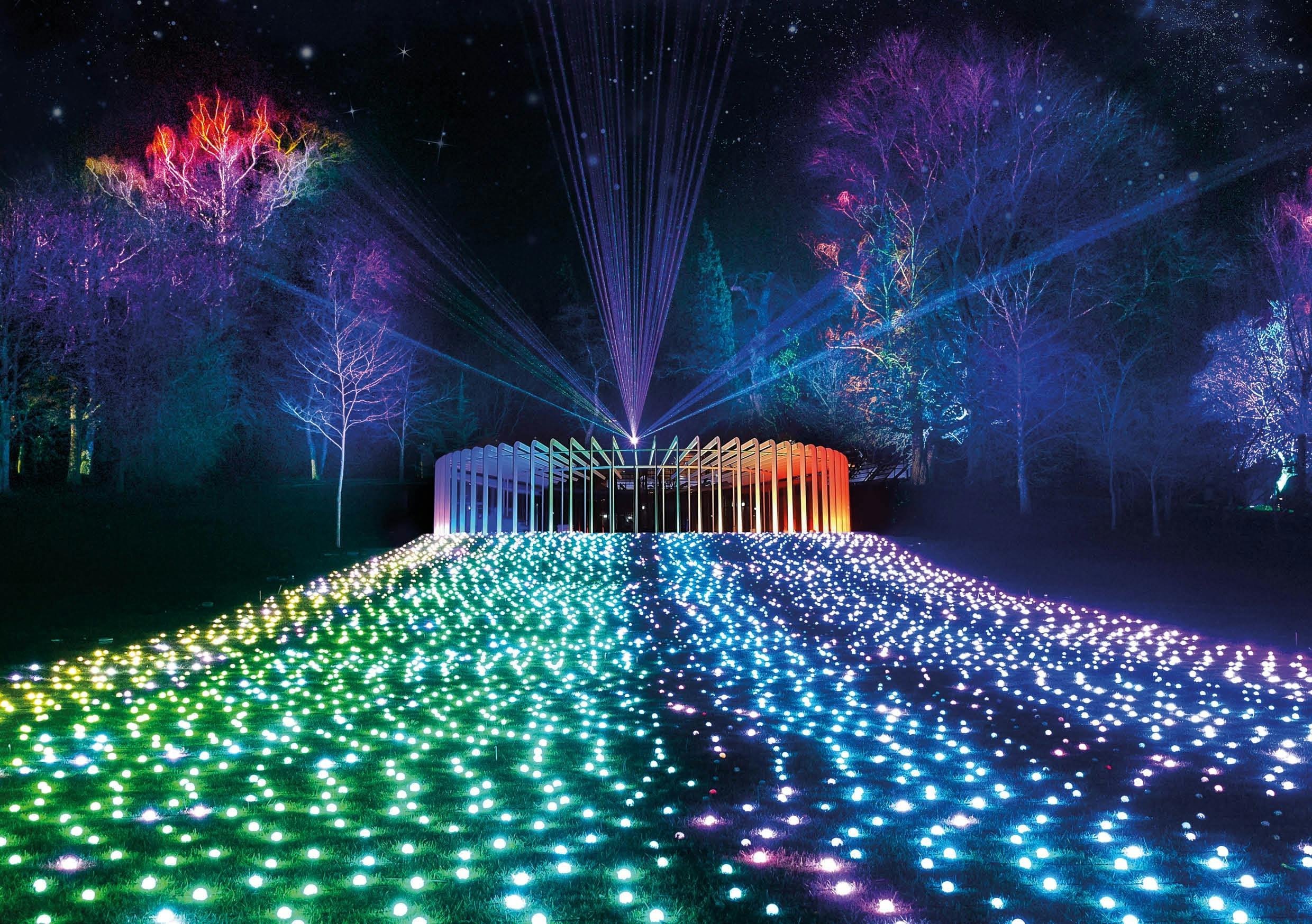 Lightscape | Sydney, Australia - Official Travel & Accommodation Website