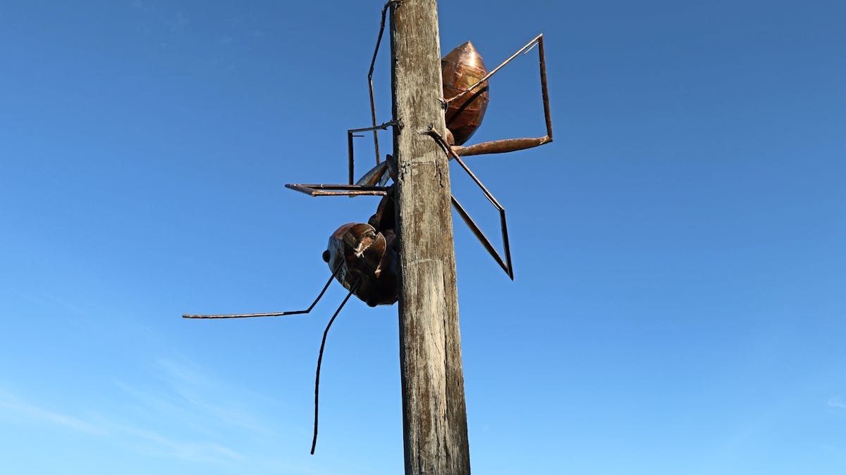 Augathella | Destination-information | Queensland