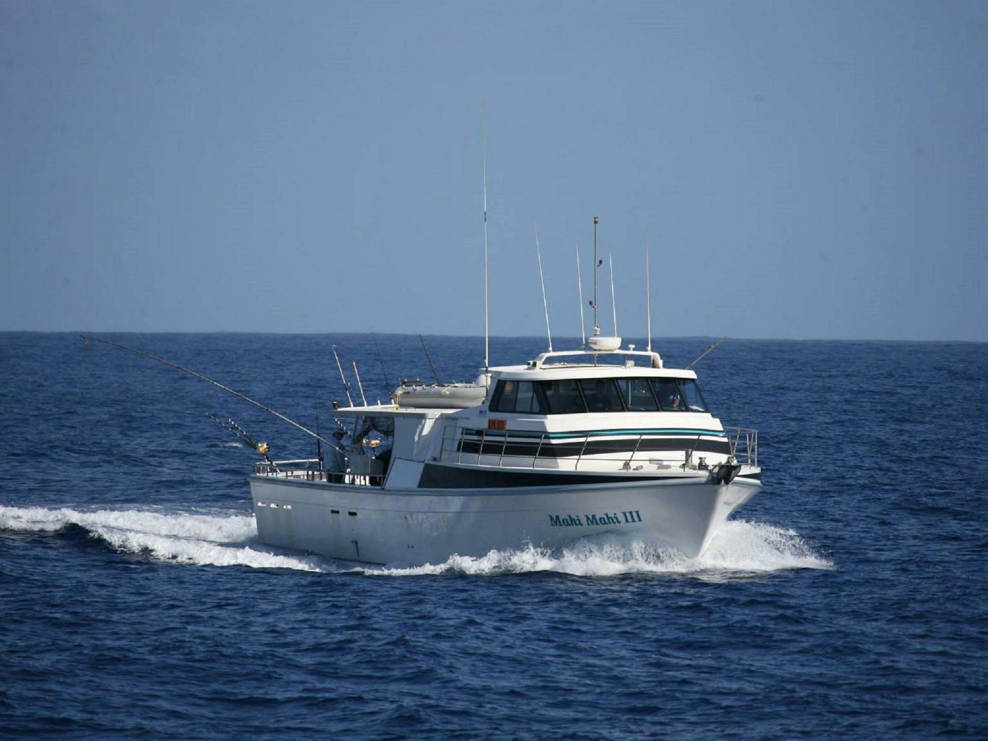 Mahi Mahi Fishing Charters in Coral Bay - The Fold: Your Guide to ...