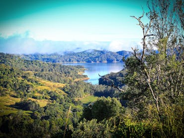 Booloumba Falls Walk Conondale National Park | Journeys | Queensland