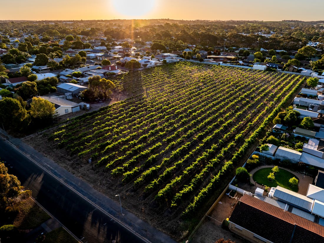 Welland Wines - Nuriootpa, Food and Drink | South Australia