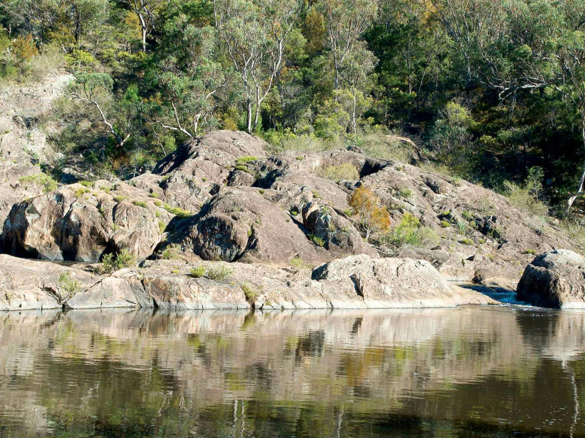 Boonoo Boonoo Falls Walking Track in Boorook - The Fold: Your Guide to ...