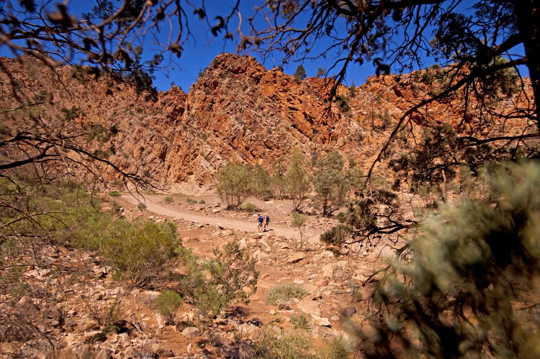 Park Trek Walking Holidays South Australia - Adelaide, Tour | Sou...