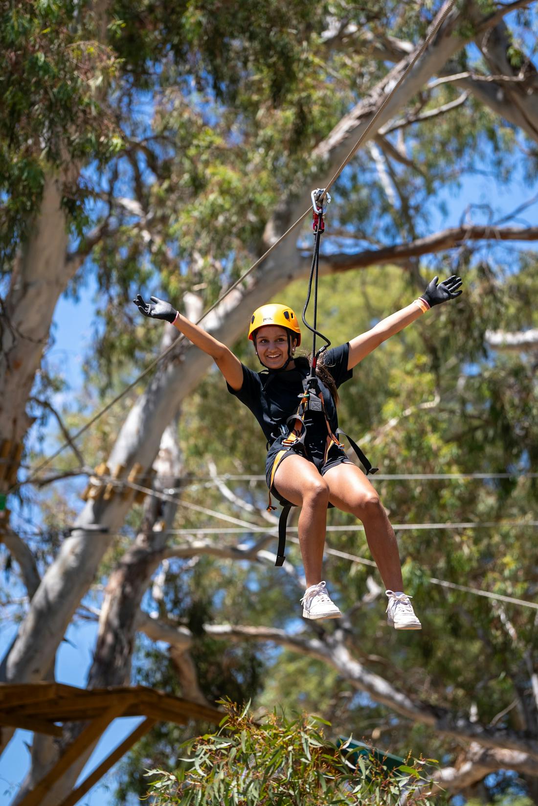 TreeClimb Salisbury - Adelaide, Attraction | South Australia
