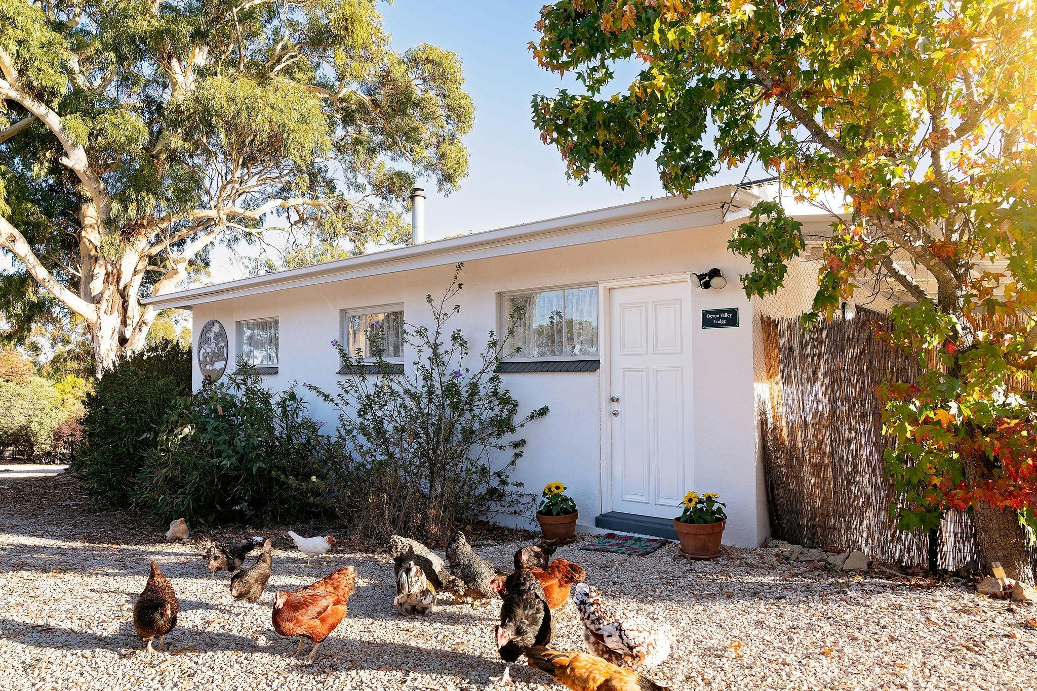 Devon Valley Lodge at Devon Valley Farm Stays, Devon Valley Lodge...