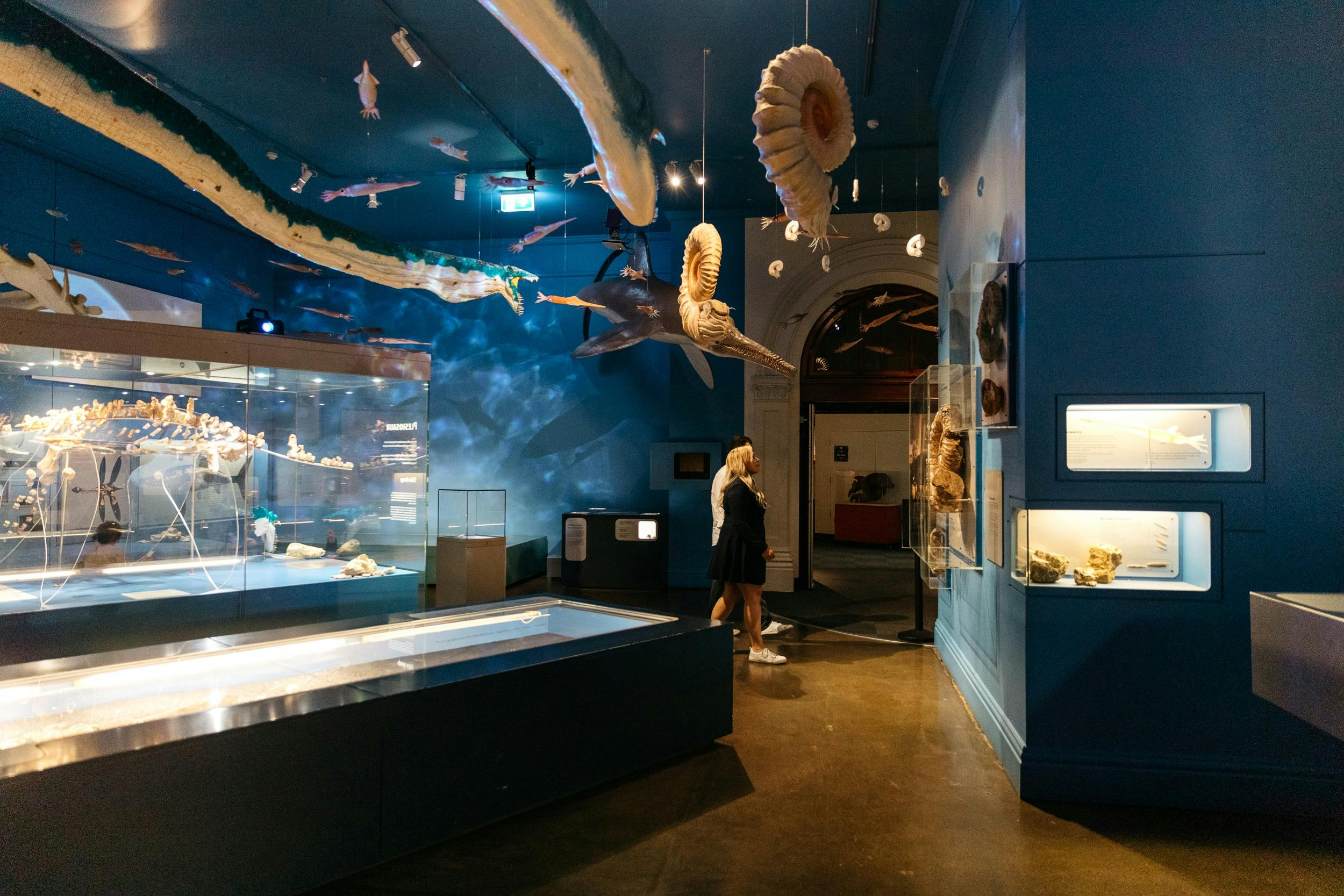 Experience Adelaide | South Australian Museum