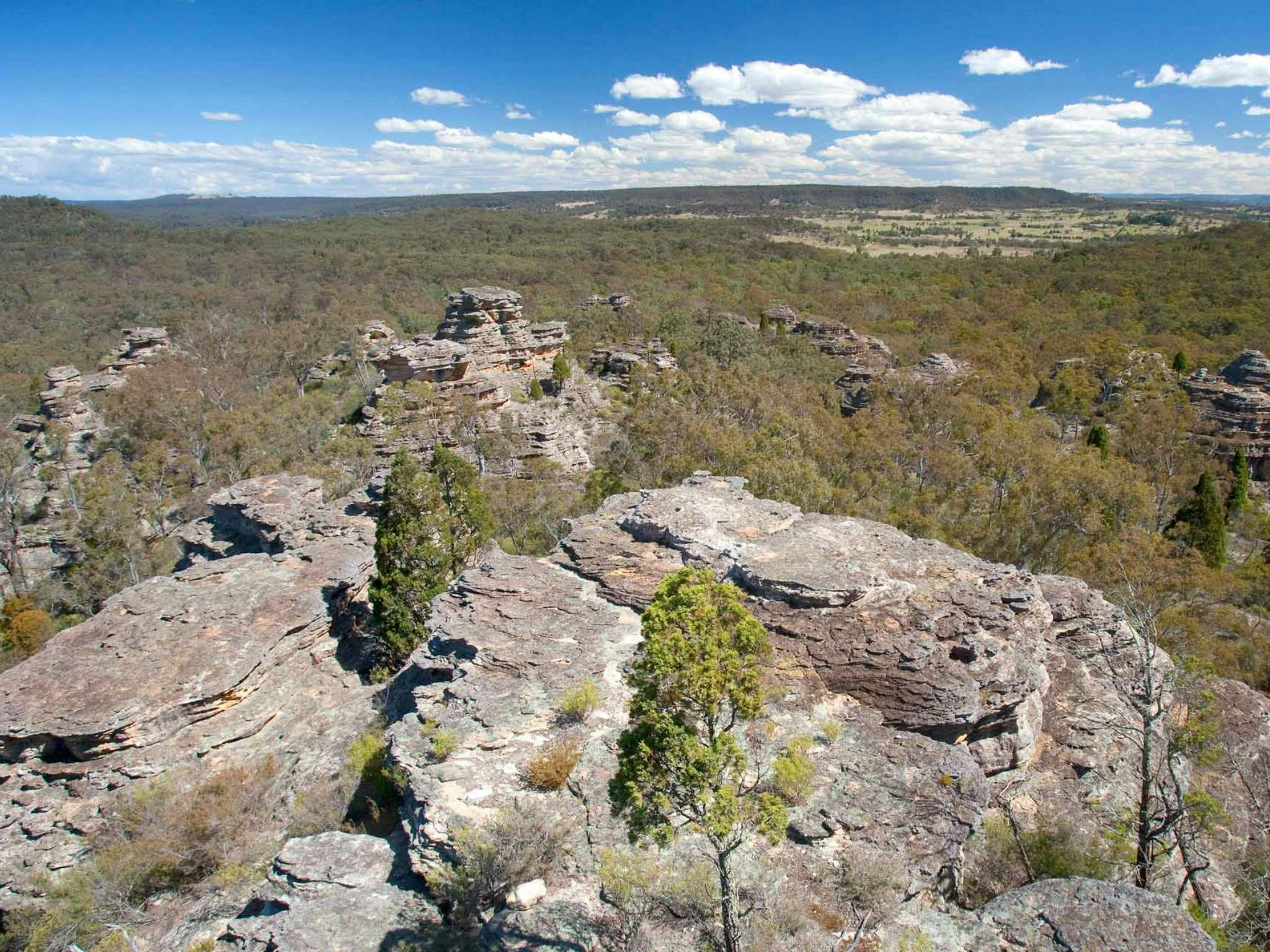 Castle Rocks Walk | NSW Holidays & Accommodation, Things to Do ...
