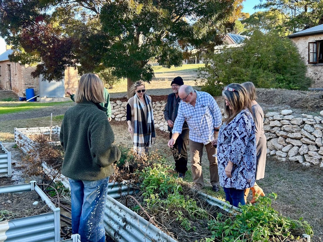 Biodynamic Tour & Taste Experience at Paxton Wines, Tour Service ...