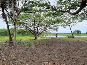 Lucinda | Destination-information | Queensland