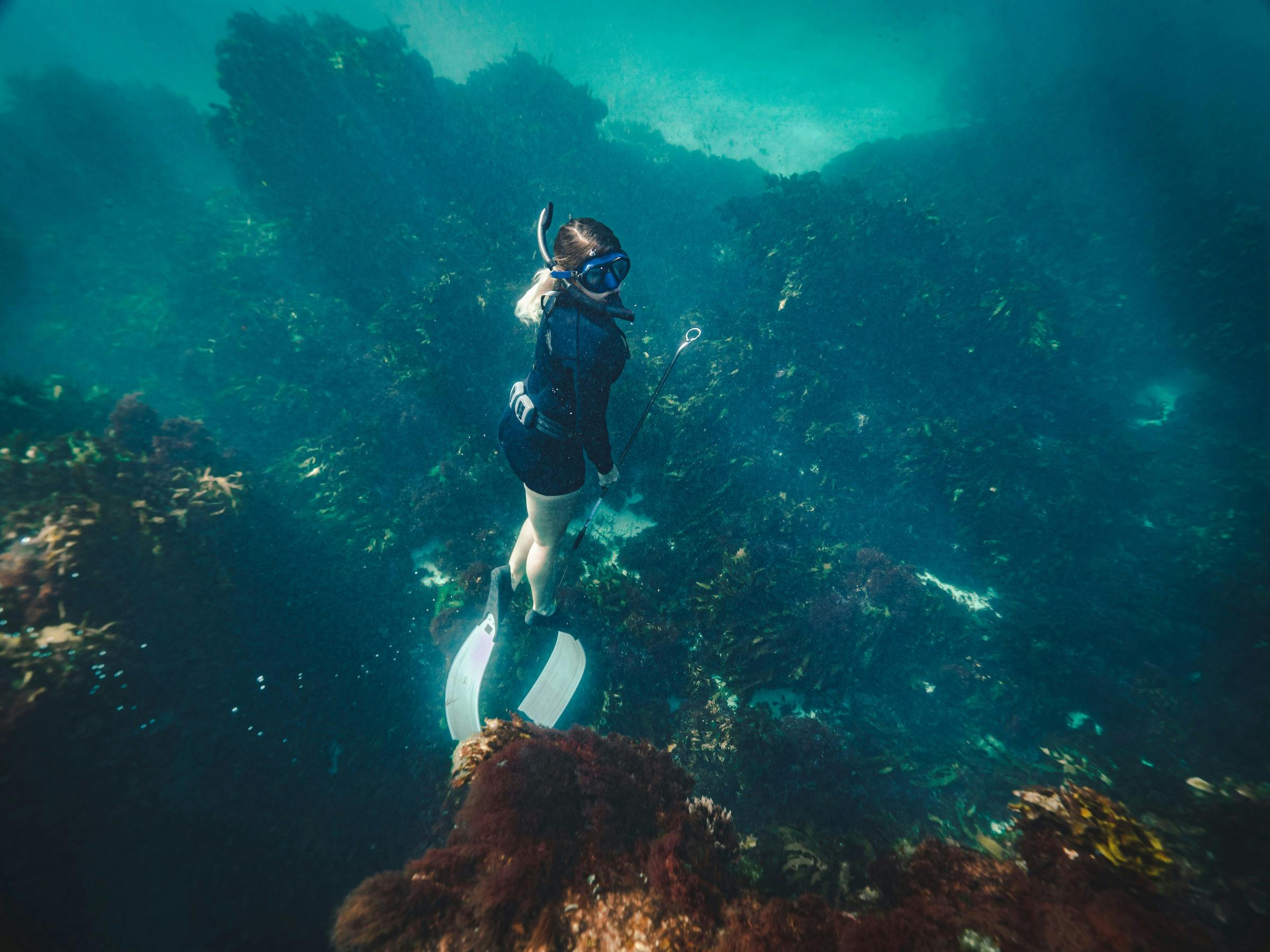 Point Peron | Browse and Book Nearby Caravan Parks