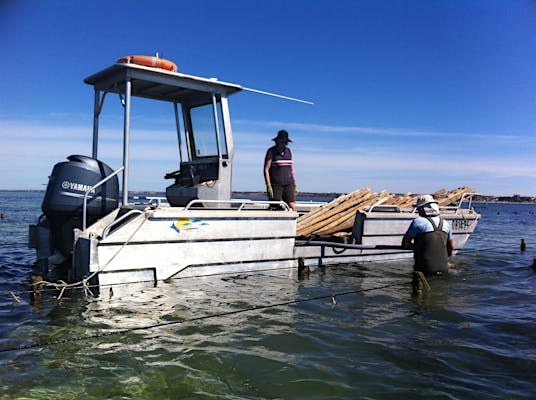 Pacific Estate Oysters - Stansbury, Tour