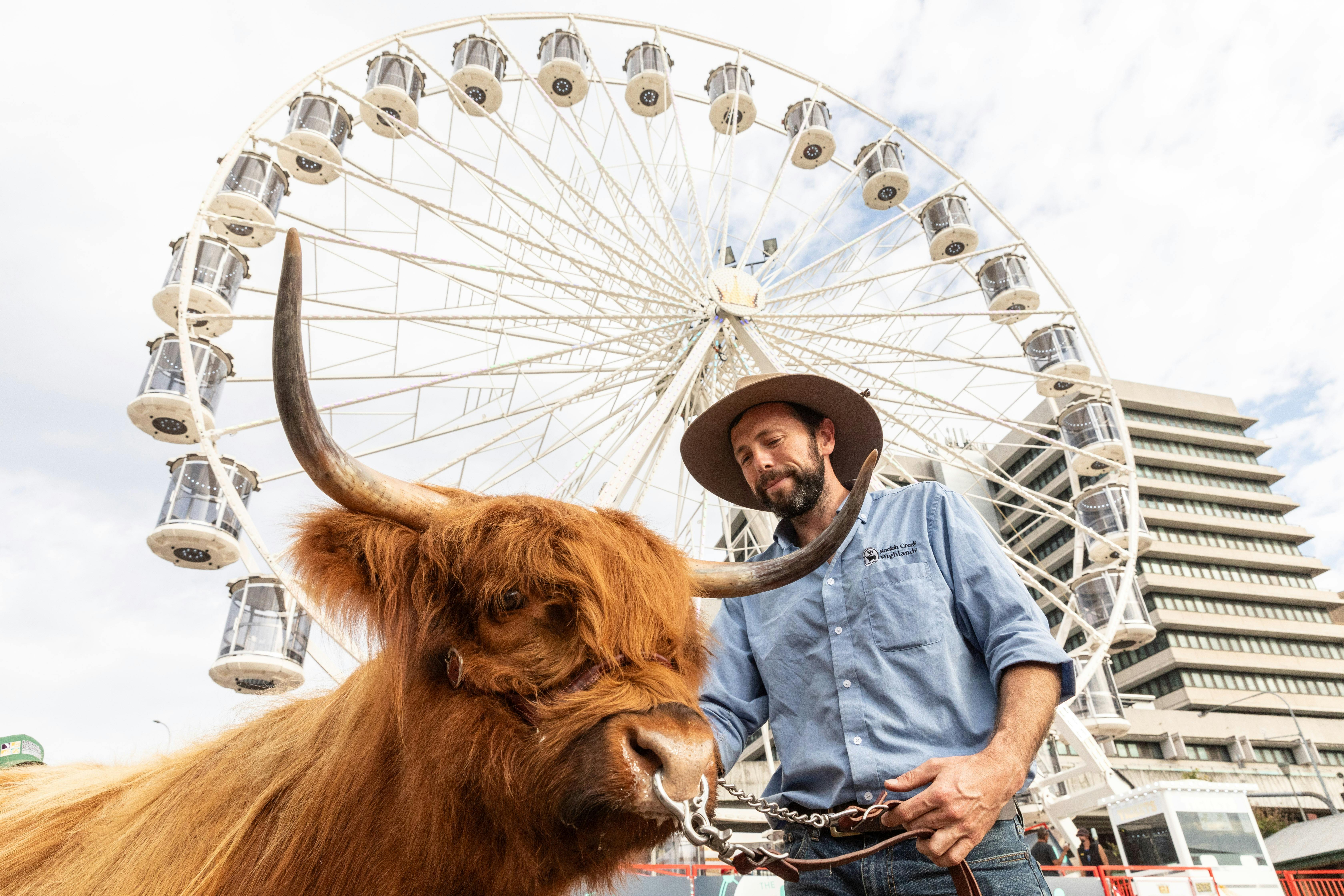 Ekka | Royal Queensland Show