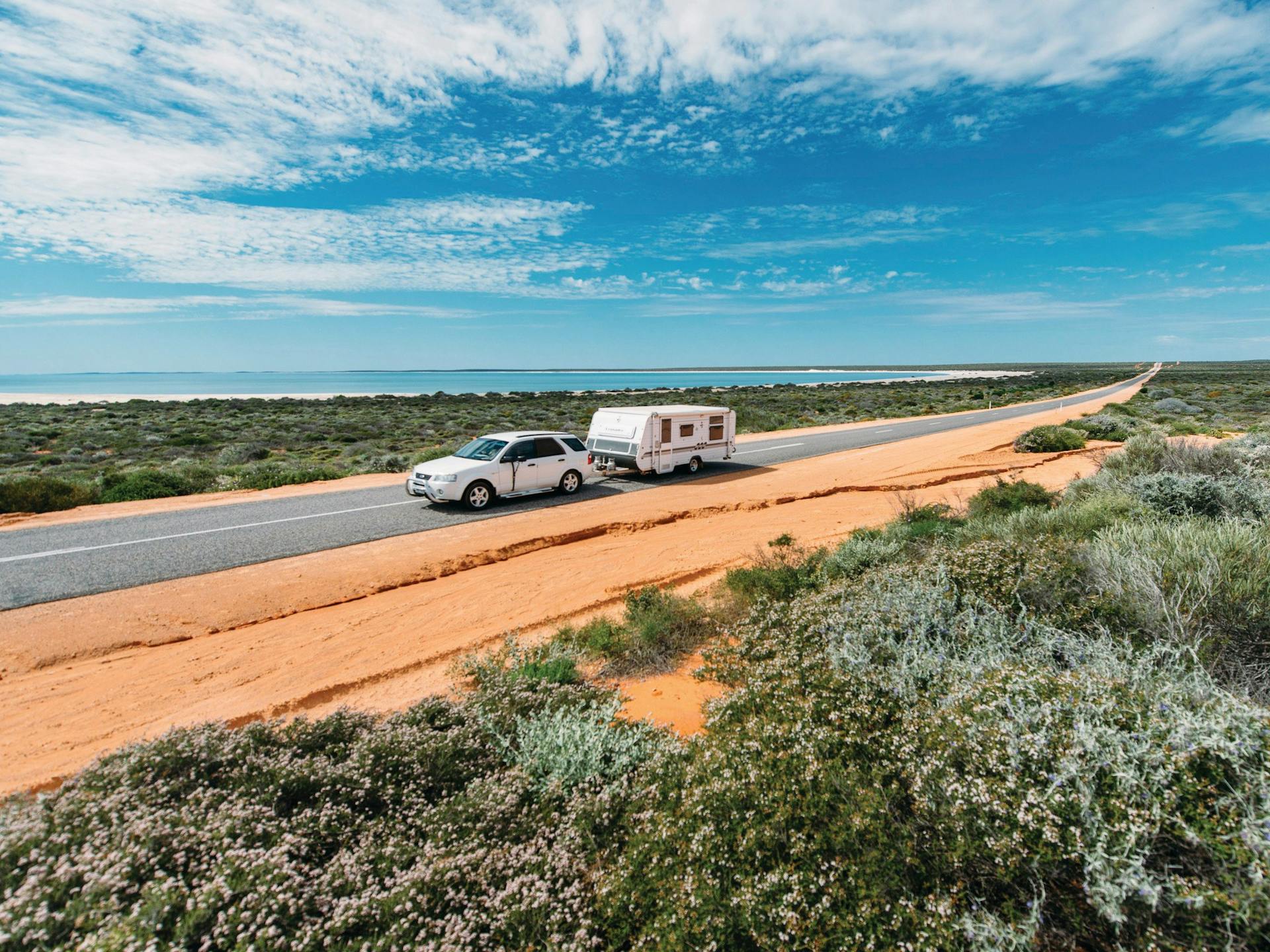 Shark Bay World Heritage Drive in Hamelin Pool - The Fold: Your Guide ...