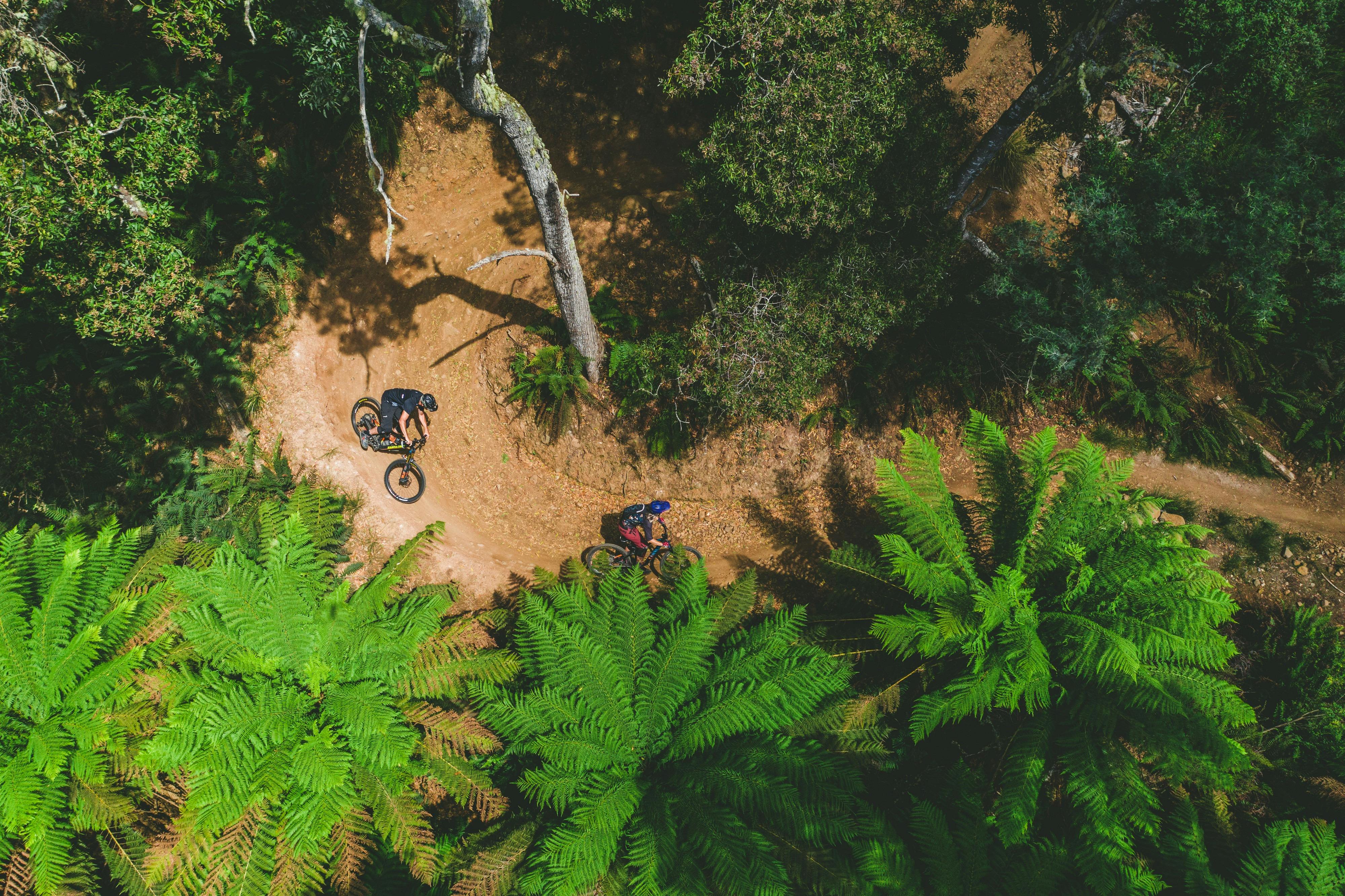 Derby Mountain Biking | Tour | Discover Tasmania