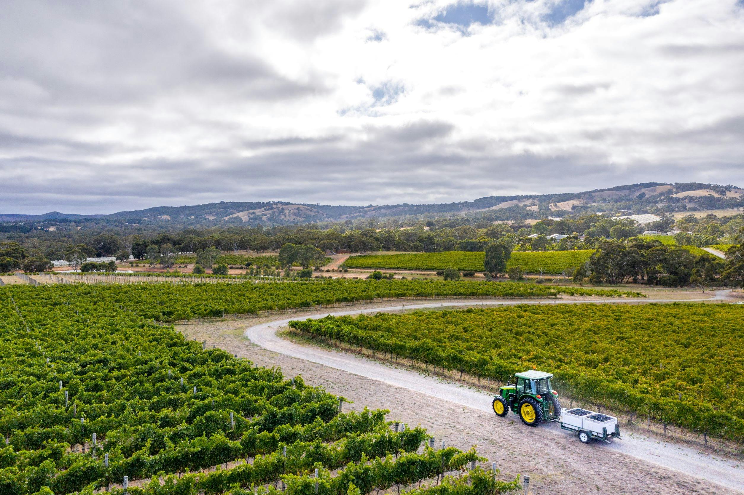 Yangarra Estate Vineyard | McLaren Vale