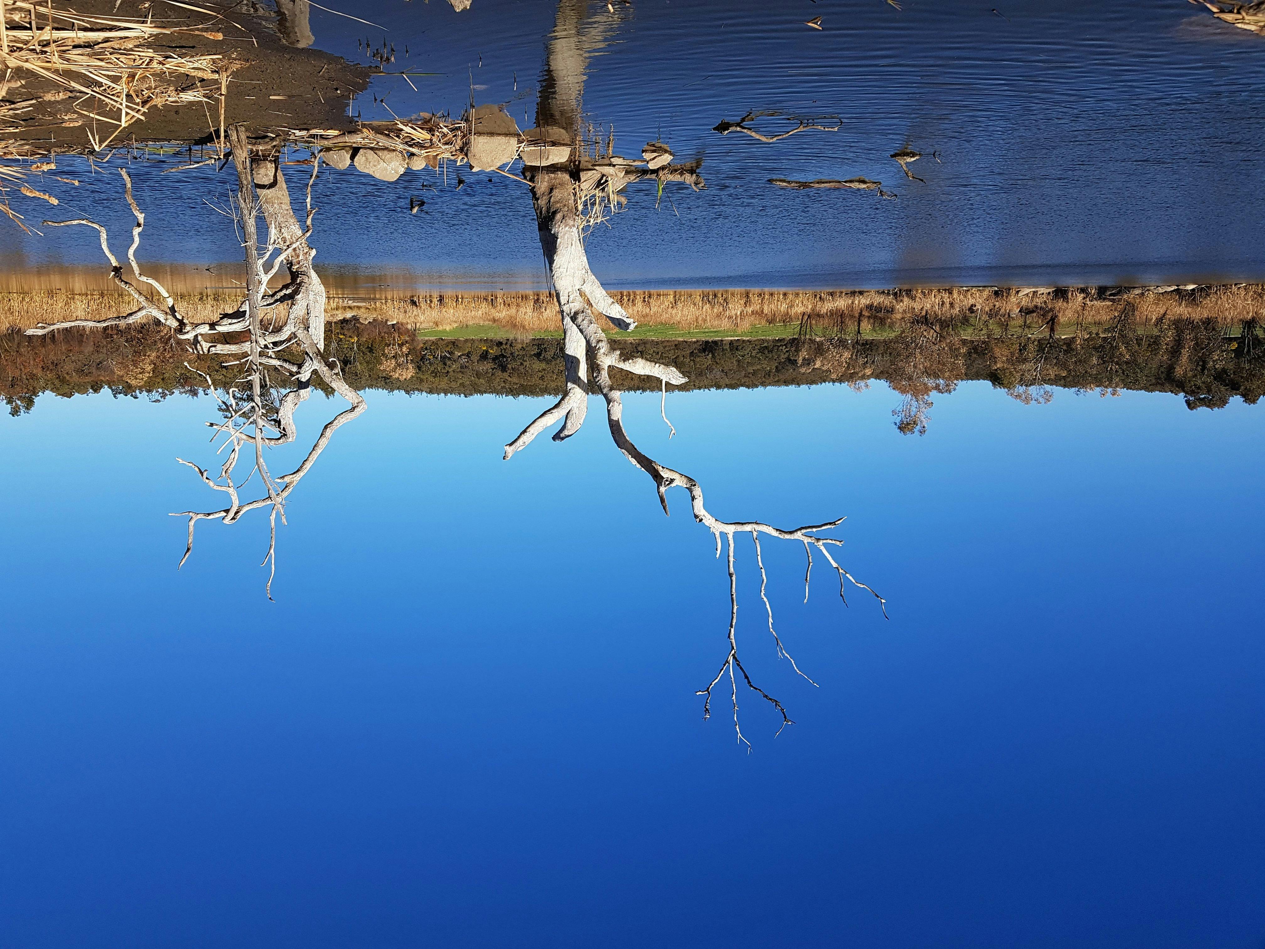 Foxbar Falls Campground | Southern Queensland Country