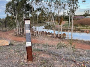 Visit Charleville and South West, Outback Queensland | Queensland
