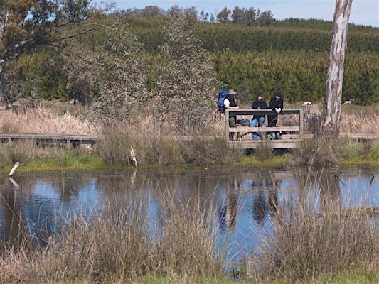 Chalks Campground - Williamstown, Accommodation | South Australia