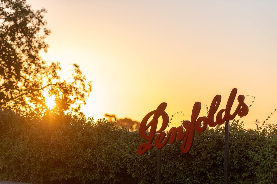 The Ultimate Penfolds Experience, Tour Service | South Australia
