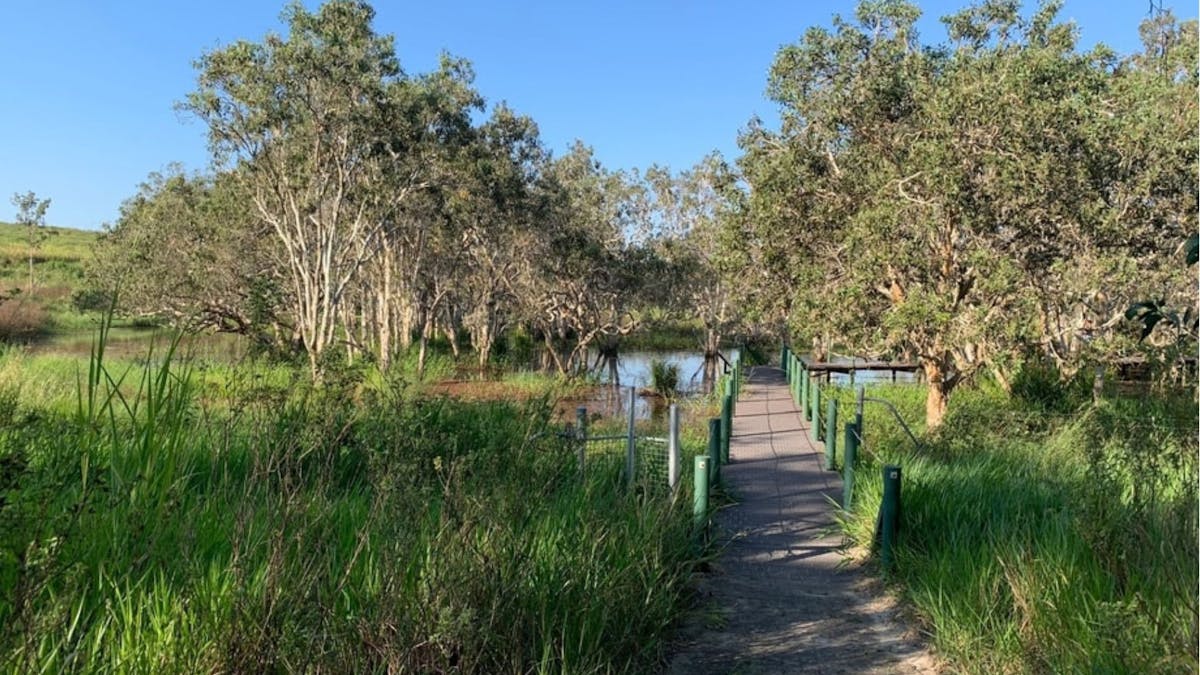 Julatten | Destination-information | Queensland
