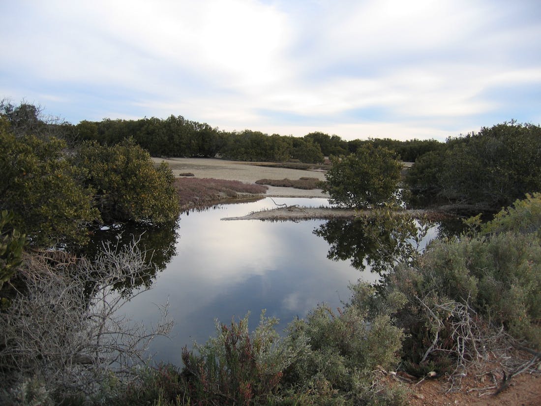 Port Clinton - Port Clinton, Destination Information | South Australia