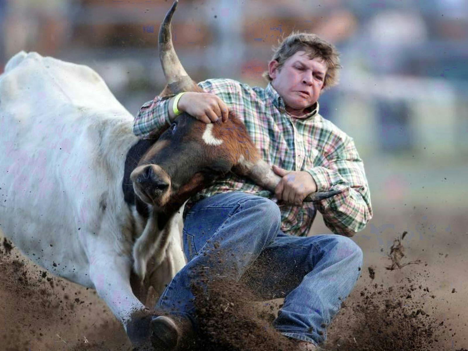 Dungog Rodeo | Events10
