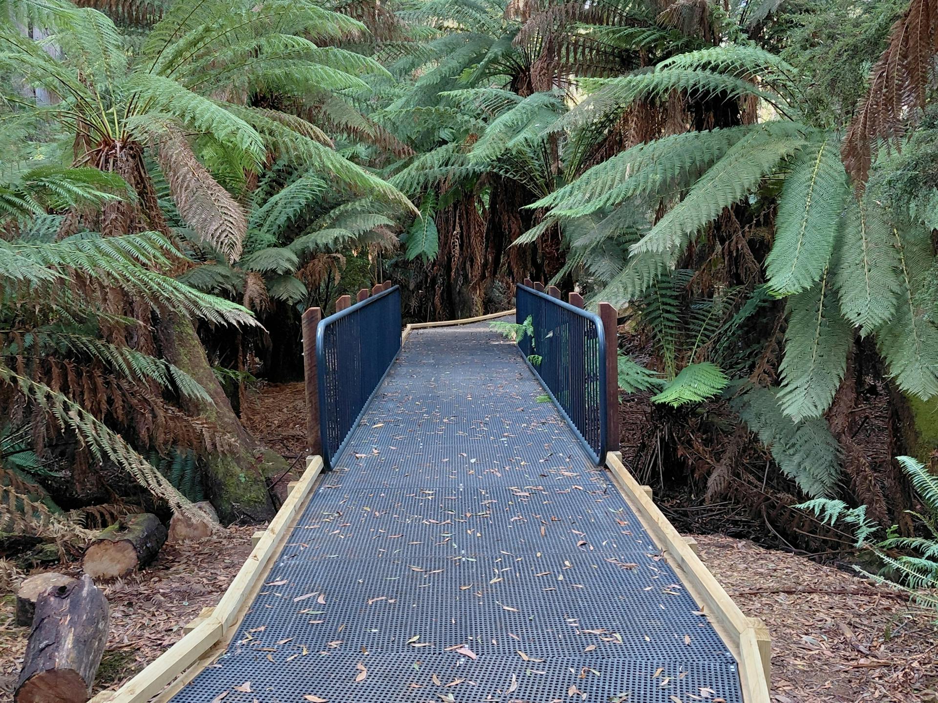 Dial Range - Ferndene Track in Penguin - The Fold: Your Guide to ...