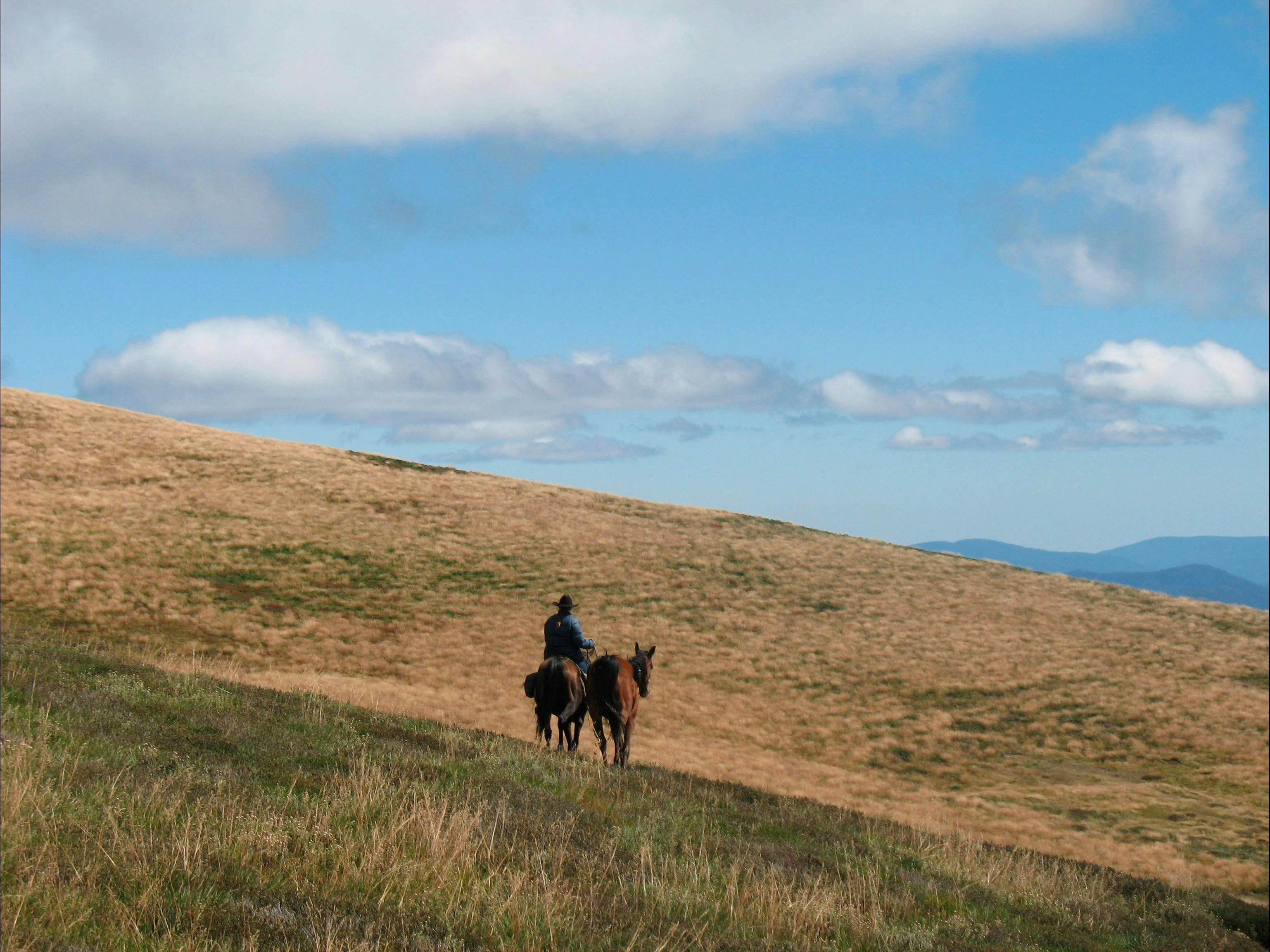 Bogong Horseback Adventures - Victoria's High Country