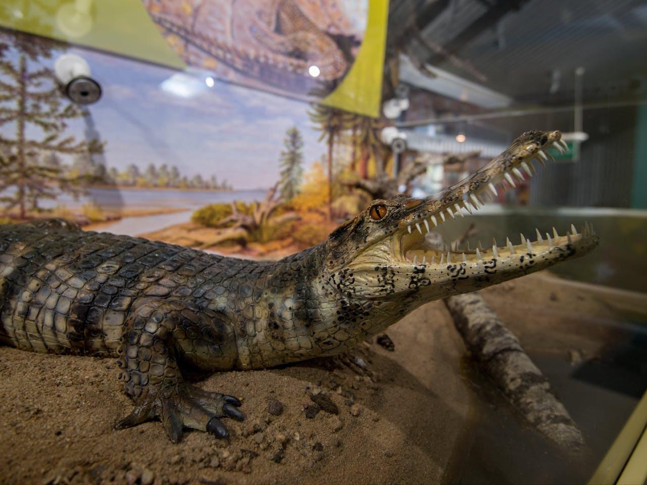 Isisford | Outback Queensland