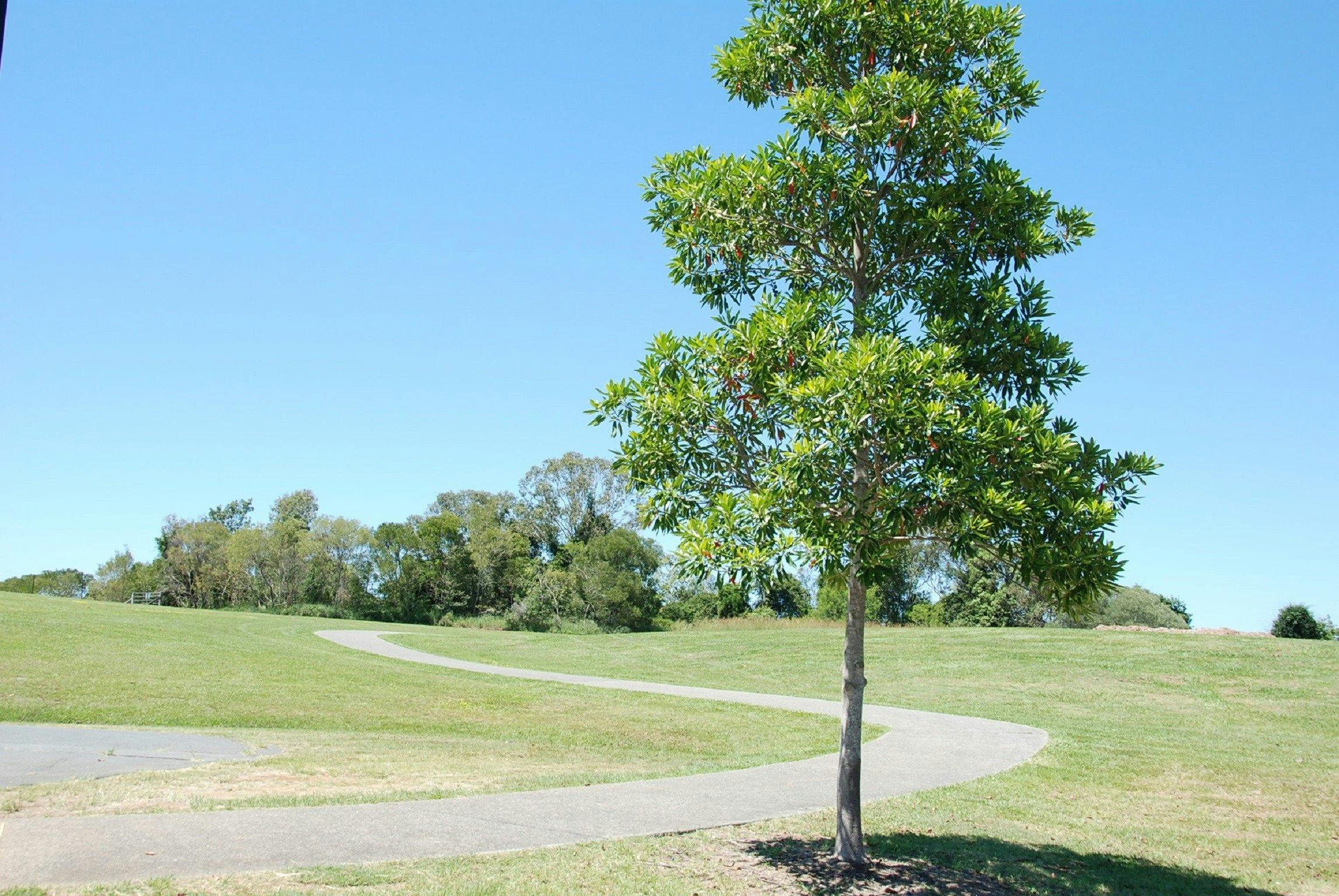 Samford Valley Rail Trail
