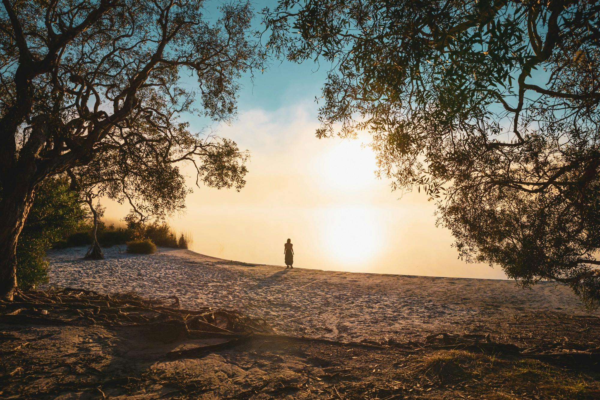 Brown Lake | Attractions | Queensland