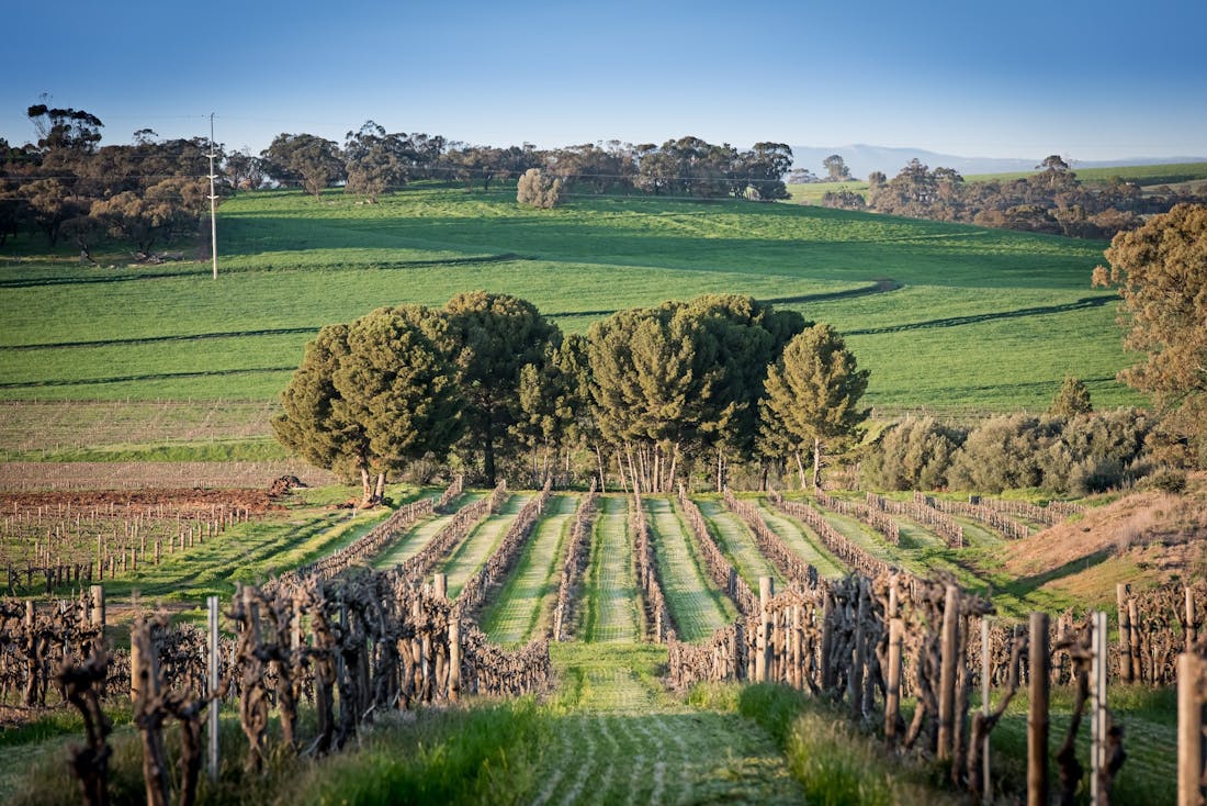 Heritage Wines - Marananga, Food and Drink | South Australia