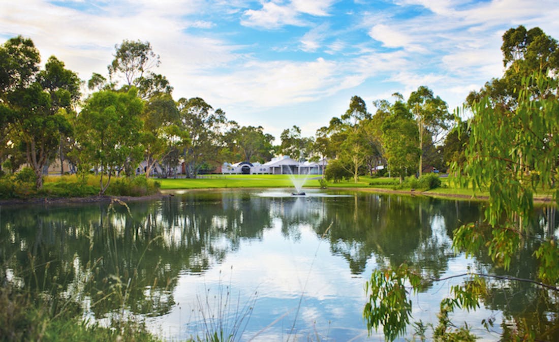 Heli Lunch - McLaren Vale - Serafino - McLaren Vale, Tour Service